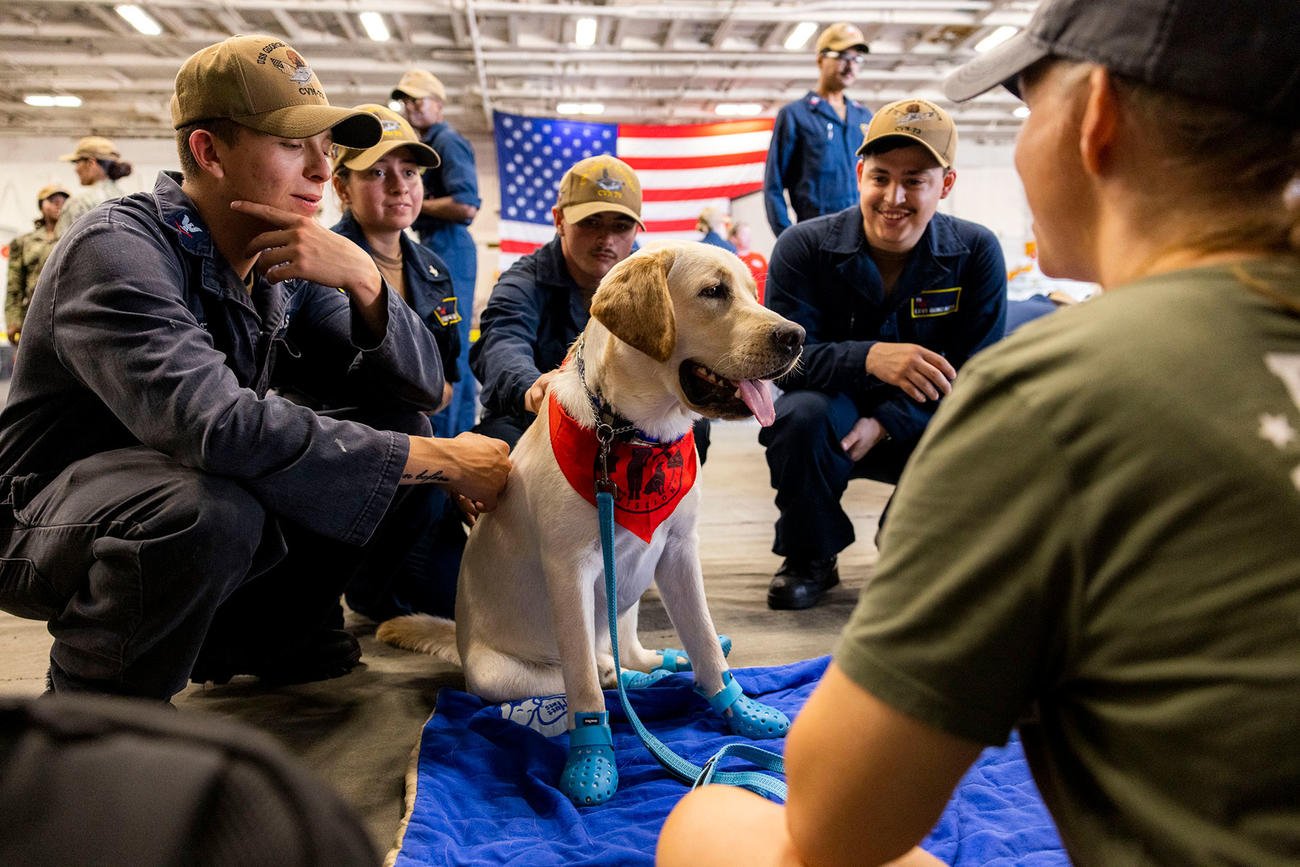 Sailors Aboard USS George Washington Go to with Pups on a Mission for ...